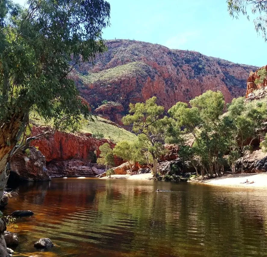 Exploring the Beauty of Larapinta: Top Hiking Trails and Attractions