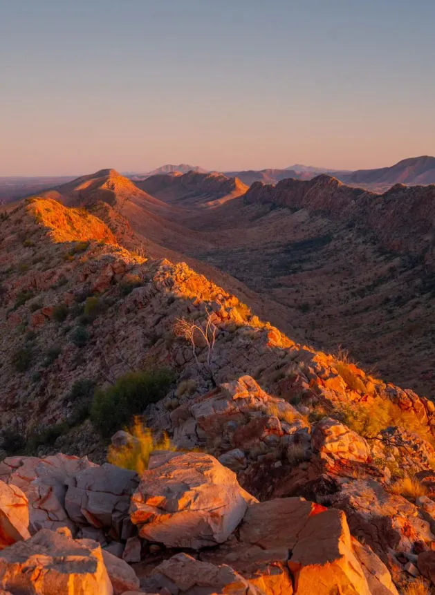 Exploring the Beauty of Larapinta: Top Hiking Trails and Attractions